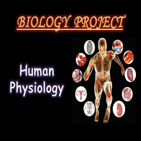 Interactive Powerpoint Skeletal System Ppt