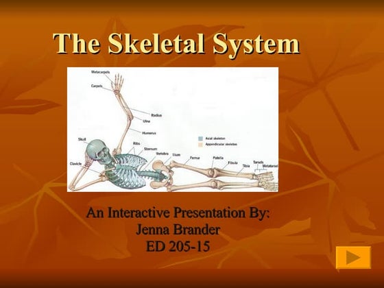 Human Body System and Their Function with a Labelled Diagram. | PPT