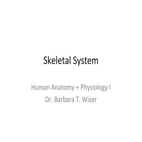 Axial skeleton | PPT