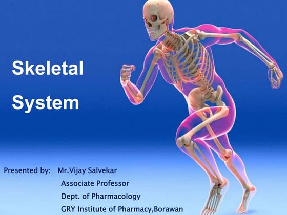 The Muscular System | PPT
