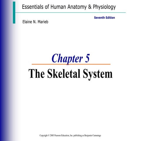 ANATOMY AND PHYSIOLOGY Skeletal-System.. | PPT