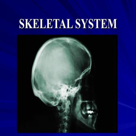 skeletal-system.ppt (for College)Medical | PPT