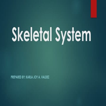Anatomy Lesson_ Realistic Skeleton for Education by Slidesgo (2).pptx