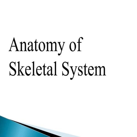 Skeletal system | PPTX