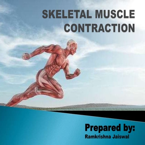 Skeletal muscle contraction | PPTX