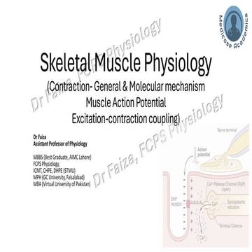 Skeletal Muscle excitation and contraction | PDF