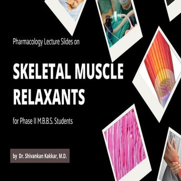 Skeletal Muscle Relaxants: A High-Yield Guide for NEET PG and MBBS ...