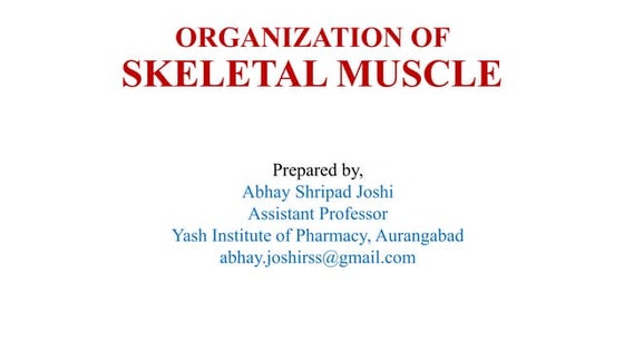 Physiology and Homeostasis | PPT