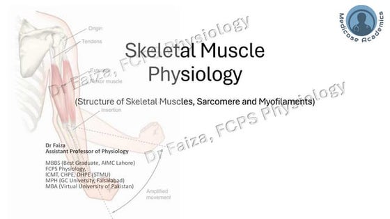 Cardiac Cycle Physiology Wiggers diagram.pdf | Heart and Cardiovascular ...