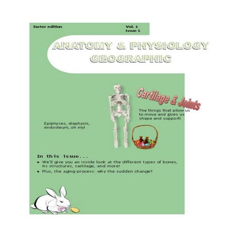 Ice lab anatomy | DOCX