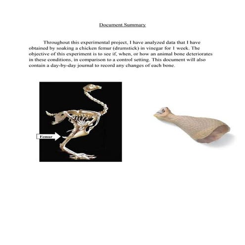 Bend a bone with vinegar | PDF