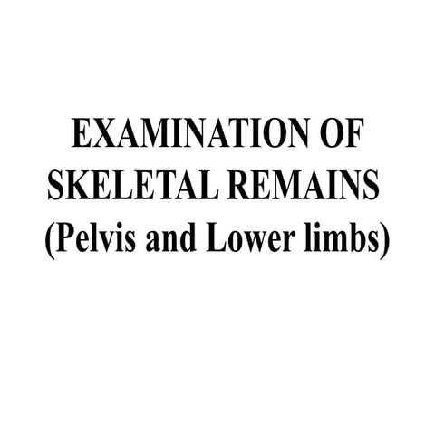 Comprehensive Forensic Analysis of Pelvic and Lower Limb Skeletal ...