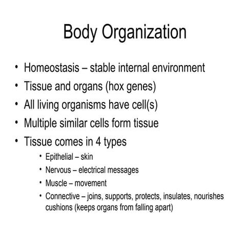 Skeletal, skin, muscle. nervous ppt | PPT