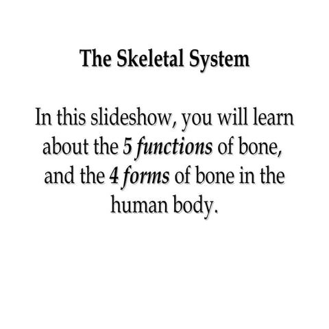 Skeletal System Intro I | PPT