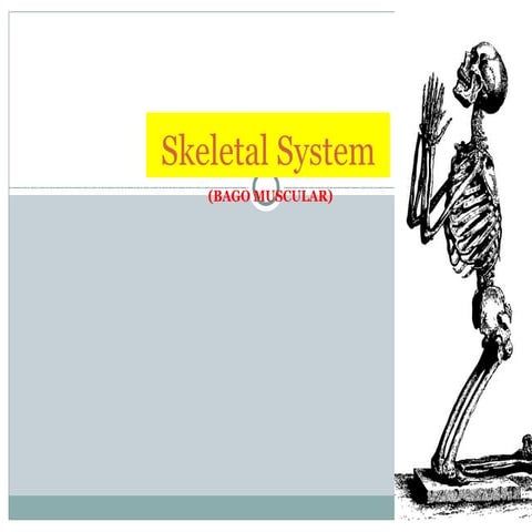 Skeletal System | PPT | Bone and Joint Conditions | Diseases and Conditions