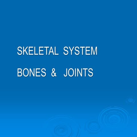 Bones | PPTX