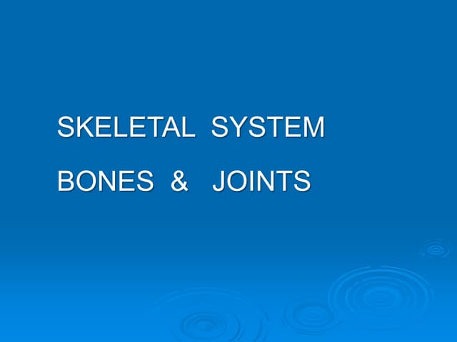 Bones | PPTX