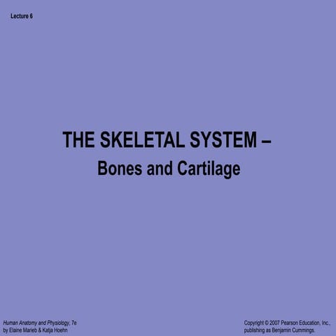 Skeletal system | PPT