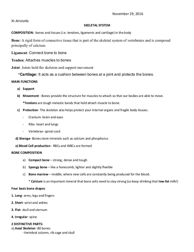 Skeletal System Outline Skeletal System Outline