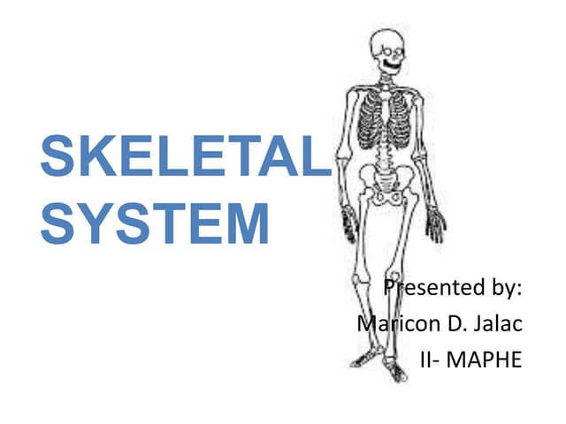 The Skeletal System Education Presentation Science 5.pptx