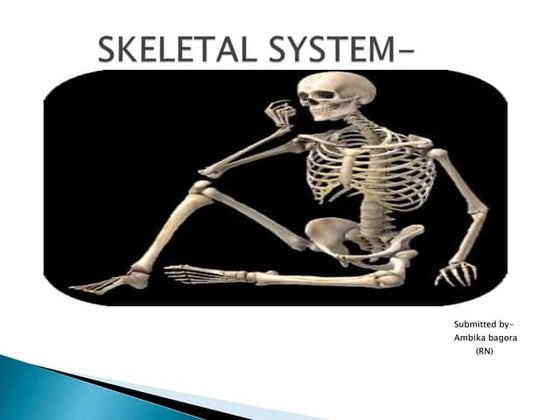 Skeletal system | PPT