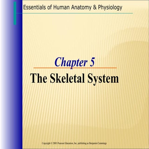 Skeletal system 2 | PPT