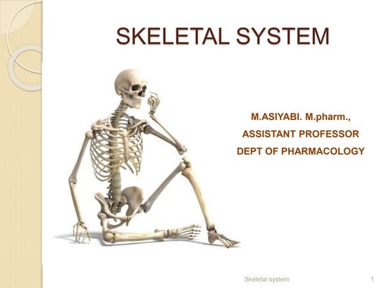 Skeletal System Ppt Skeleton System Of Human Body Anatomy, Human