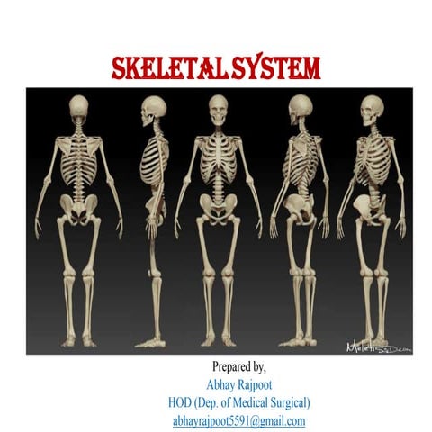 Skeletal system | PPTX