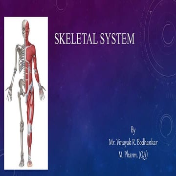 Skeletal system | PPT
