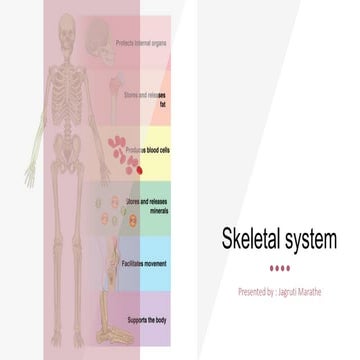 Osteology | PPTX