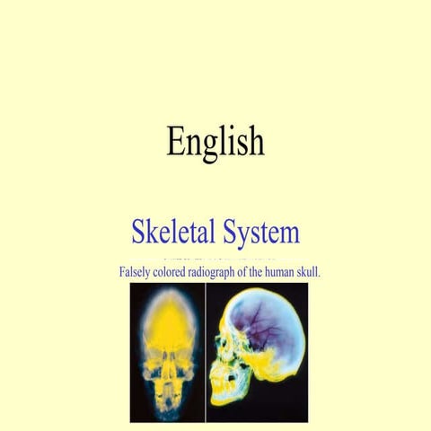 Skeletal System.ppt
