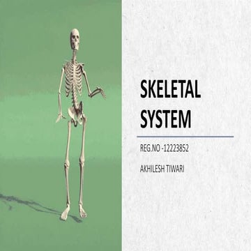 skeletal system.pptx