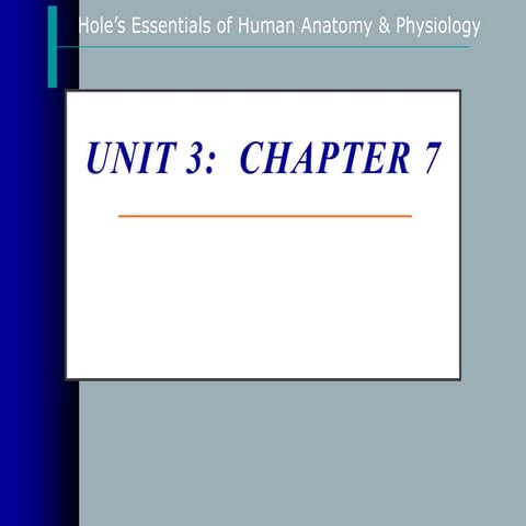 Skeletal_System.ppt | Death, Injury, or Military Conflict | Sensitive ...