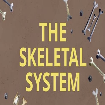 SKELETAL SYSTEM for elementary graders.pptx