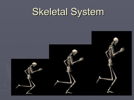 Skeletal System ---------- 6th grade.pptx