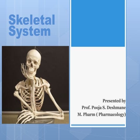 Skeletal system.pptx Part I B.Pharmacy HAP I | PPTX