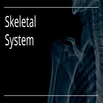 Skeletal System Power Point Anatomy.pptx