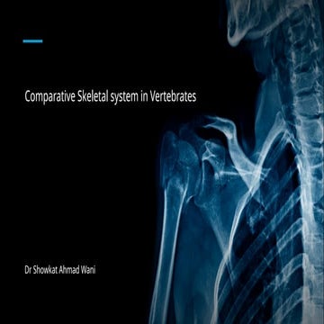 Comparative anatomy (skeletal system) | PPT