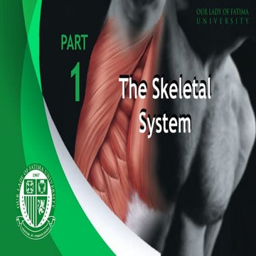 Anatomy of musculoskeletal system | PPTX