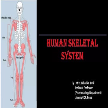 Skeletal system | PPTX