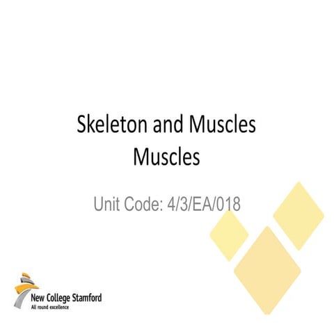 Skeletal system muscles (pearson) | PPTX