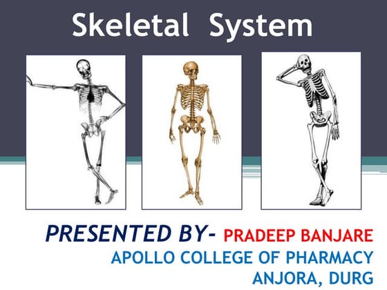 Skeletal system grade IV | PPTX