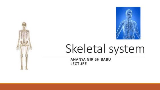 Human Skeletal System, Class 11 (Science).pptx | Death, Injury, or ...