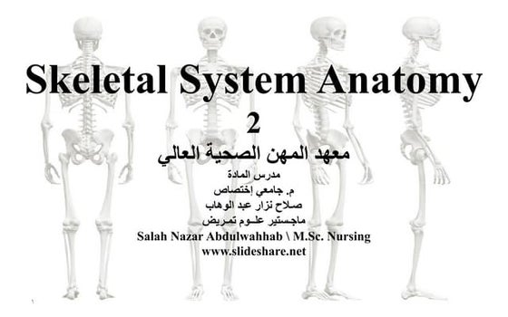 Skeletal_System_Cognitive_Map Skeletal_System_Cognitive_Map | PPT