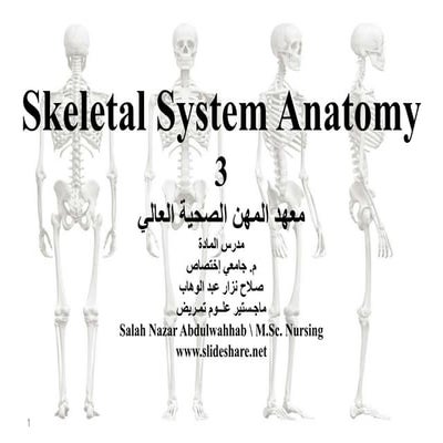 Skeletal system anatomy 3 | PPTX