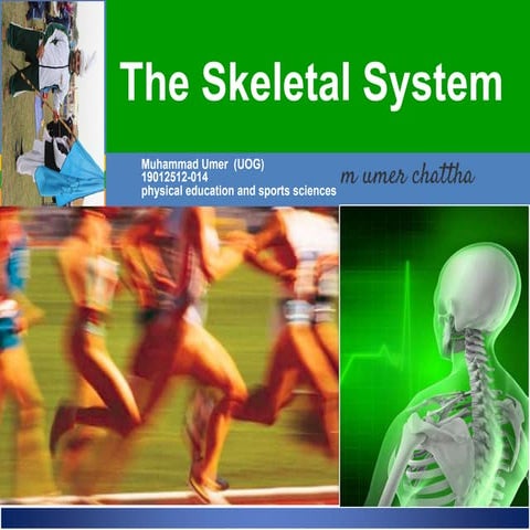 Skeletal system anatomy physiology | PPT