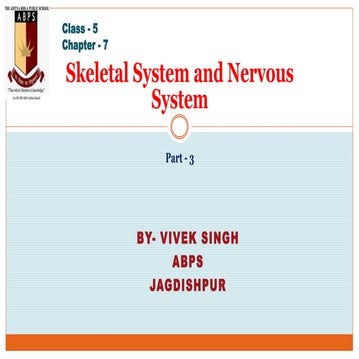 Skeletal system and nervous system 3 | PPT