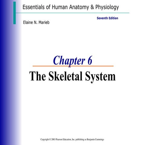 skeletal system bone classification & structure powerpoint (chapter 6).ppt