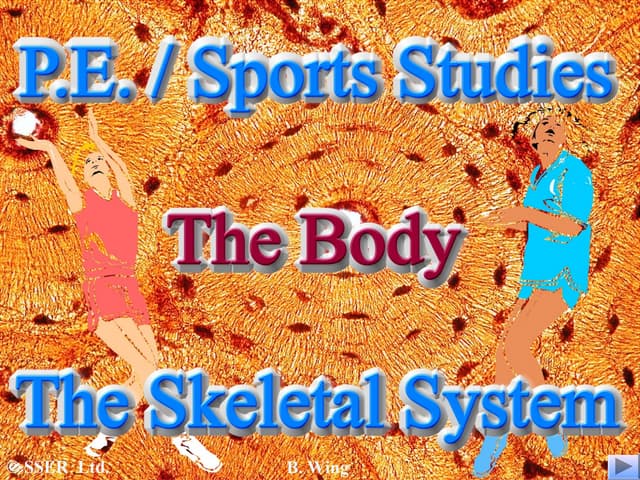 Skeletal system powerpoint | PPT