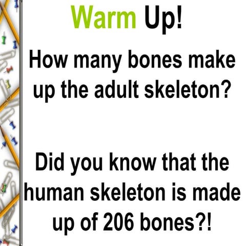 Skeletal System | PPT